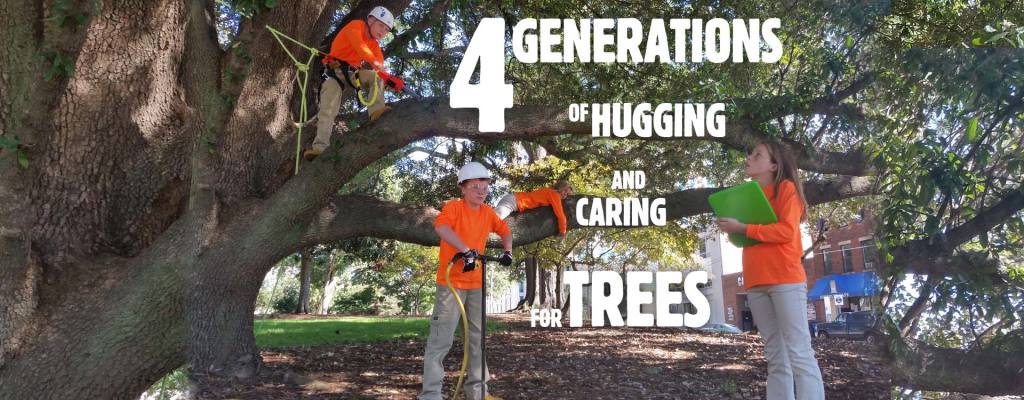 Raleigh Tree Service | Tree Removal Service Raleigh | Tree Cutting ...