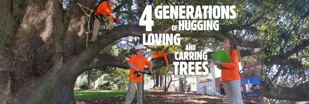 Raleigh-Tree-Care - Arbormax Tree Service