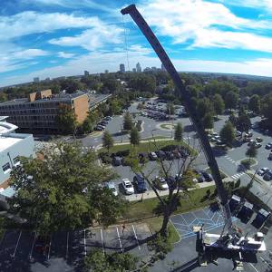 Services - Arbormax Tree Service