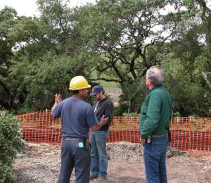 Services - Arbormax Tree Service