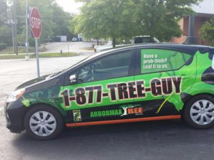 tree-service4 - Arbormax Tree Service