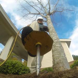 Deep-Root-Fertilization - Arbormax Tree Service